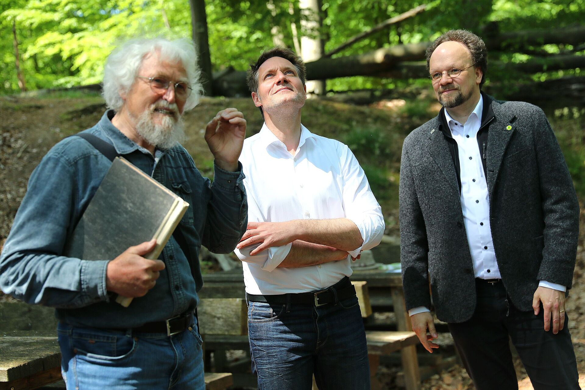 Neues Gutachten zum Nationalpark Steigerwald - BUND Naturschutz in ...